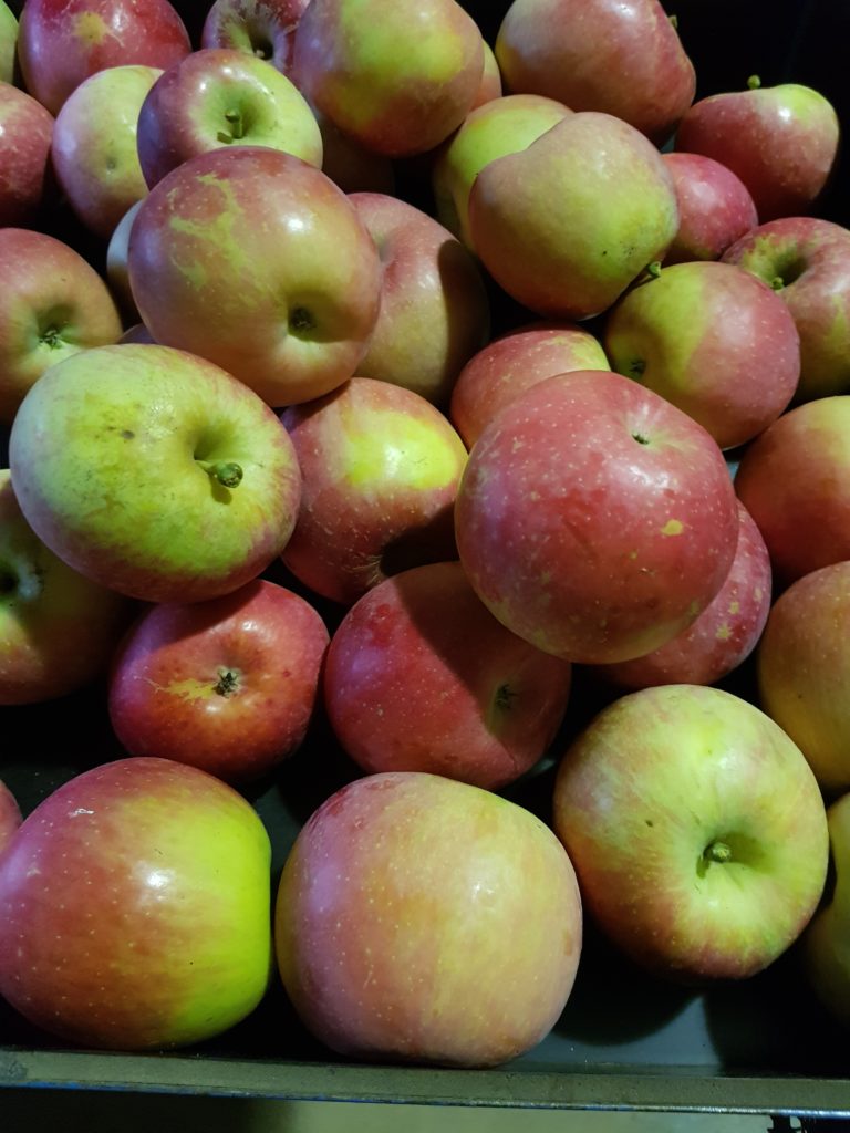 Les Paniers de josé | vente directe à la ferme sur Istres